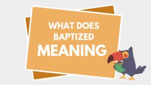 What Does Baptized Mean? A Simple Guide to Understanding Baptism 2026
